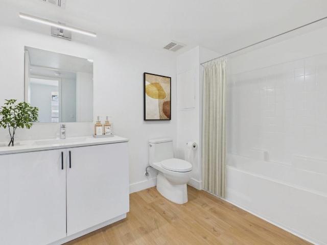 Echo 55 Studio Apartment for Rent at 1655 Allesandro St, Los Angeles, CA 90026 Greater Echo Park Elysian