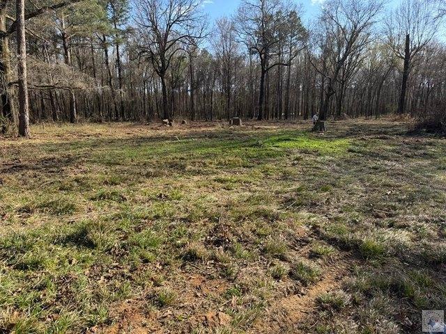Eckert Ln, Hooks, TX 75561