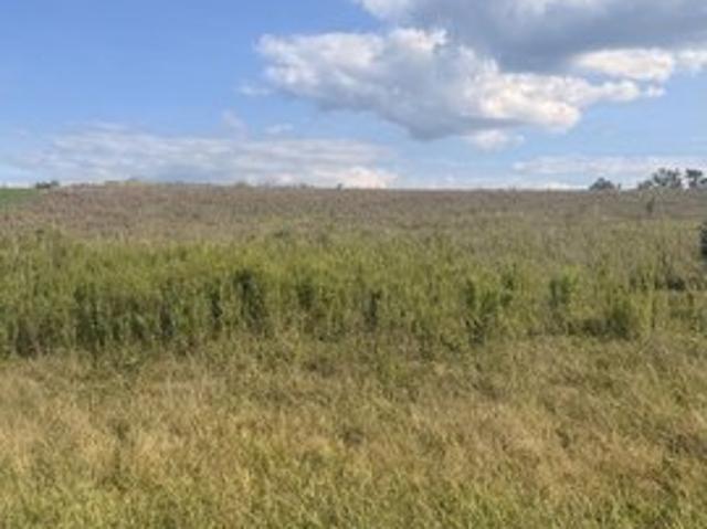 Eckroth Rd Lot 2, Bloomsburg, PA 17815
