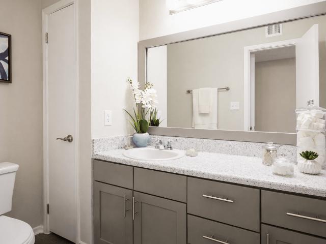 Eclipse Apartments 1 Bedroom Apartment for Rent at 4155 Satellite Blvd, Duluth, GA 30096