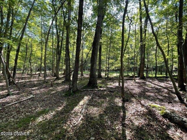Ea Turnberry Ln Lot,hazleton, Plot For Sale