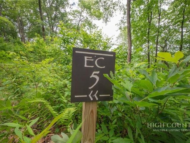 Eagle Crest Trl Lot EC5, Elk Park, NC 28622