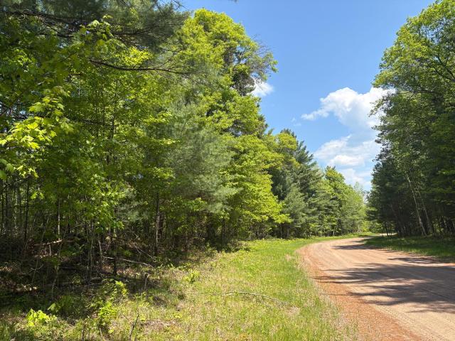 Eagle Drive