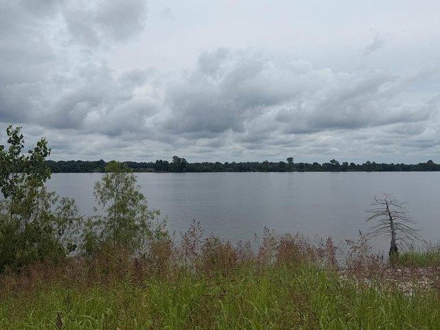 Eagle Lake Shore Rd Lot 11, Vicksburg, MS 39183