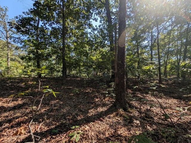 Eagle Look Ln Lot 130, Murray, KY 42071