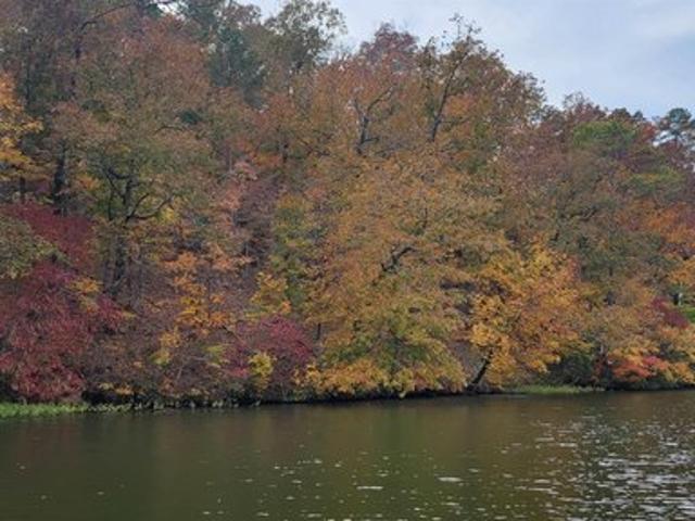 Eagle Mountain Rd Lot 7, Rockford, AL 35136
