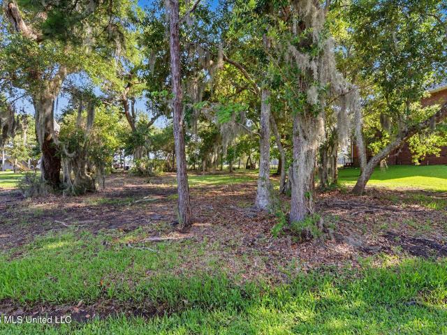 Eagle Pine Drive, Ocean Springs, MS 39564