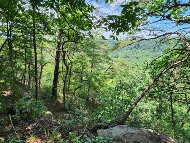 Eagle Point Dr, Monteagle, TN 37356