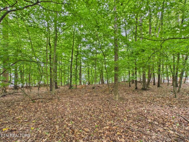 Eagle Point Drive, Rockwood, TN 37854