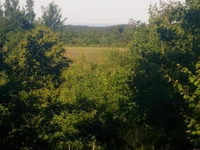Eagle Ridge Circle # Lot 103