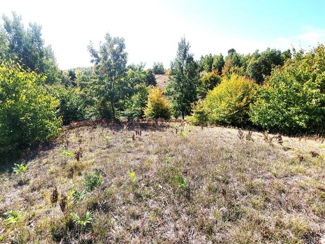 Eagle Ridge Circle # Lot 102