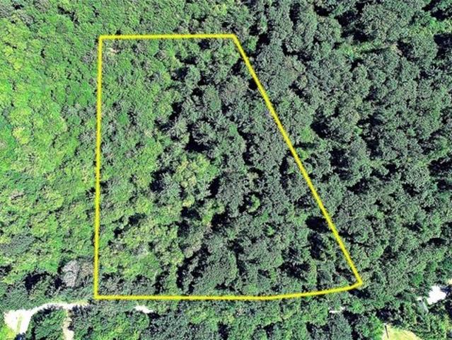 Eagle Ridge Dr, Camano Island, WA 98282