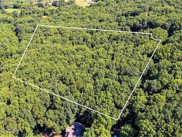 Eagle Ridge Lane, Jefferson City, TN 37760