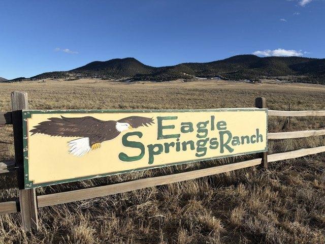 Eagle Springs Rd Lot 29, Westcliffe, CO 81252