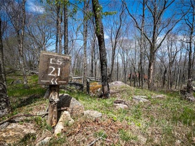 Eagle Springs Trl Lot ES21, Banner Elk, NC 28604