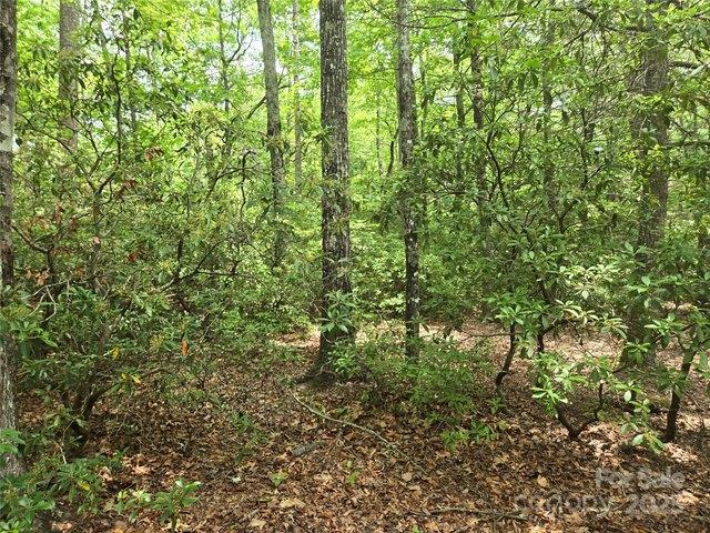 Eagles Crest Way Lot 11, Lake Lure, NC 28746