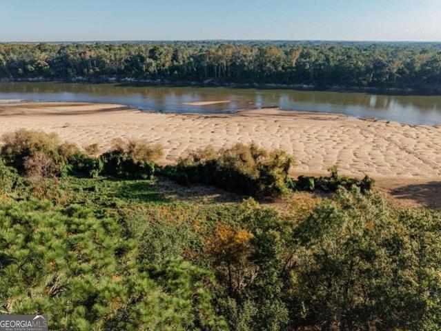 Eagles Pt Lot 8, Surrency, GA 31563