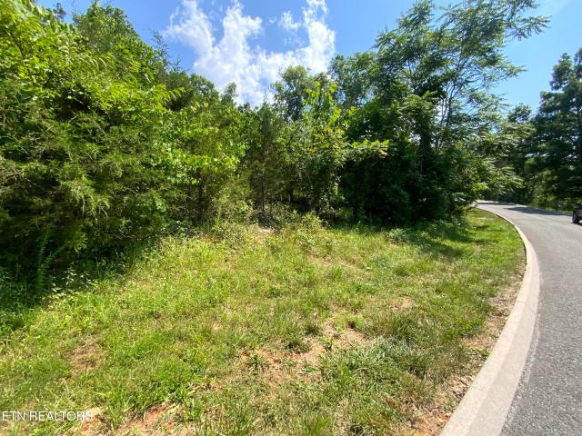 Eagles Ridge, New Tazewell, TN 37825