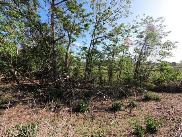 Earth Star Ln, Groveland, FL 34736