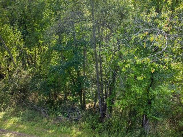 Earlie St, Princeton, WV 24740