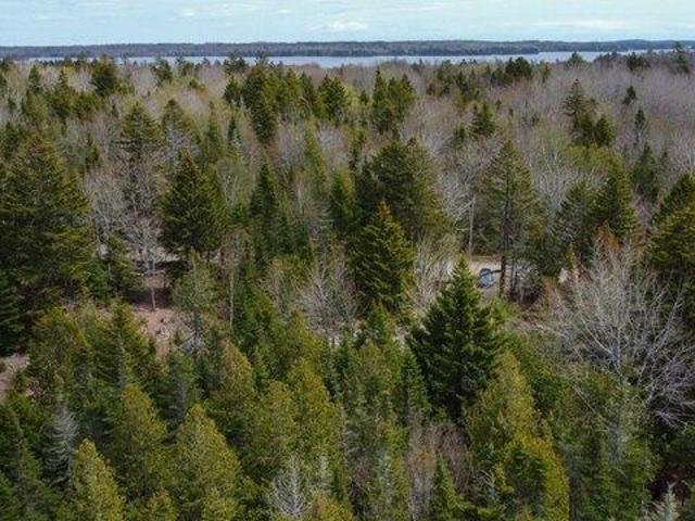 East Machias ME 04630 104411050