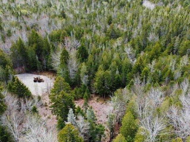 East Machias ME 04630 105115022