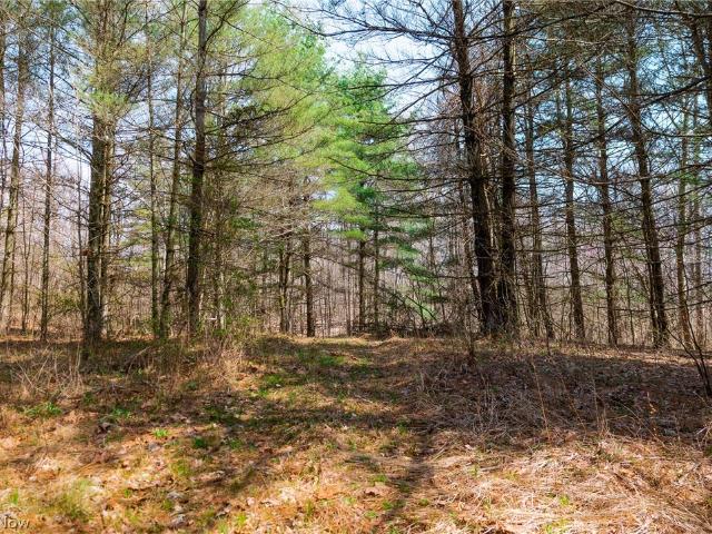 East Branch Road