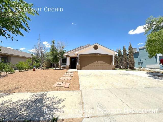 East El Paso 3 bed Refrig A/C with Gorgeous Yard!