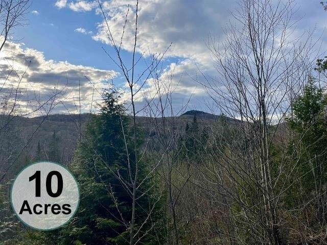 East Haven VT 05837 103885793
