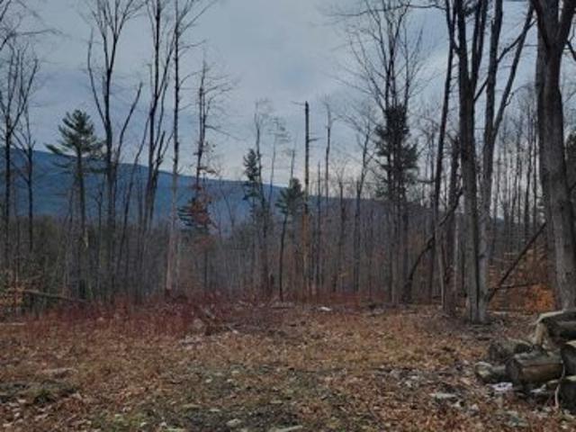 East Rd, Bennington, Plot For Sale