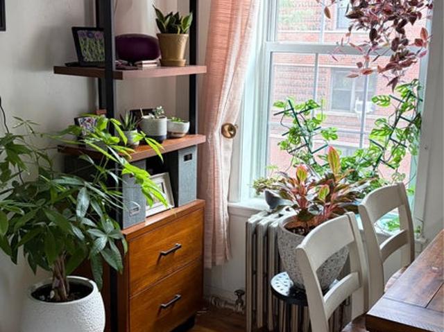 East Village Boutique Living