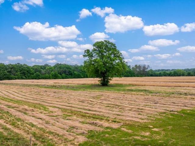 Easterwood Point Rd, Mayflower, AR 72106