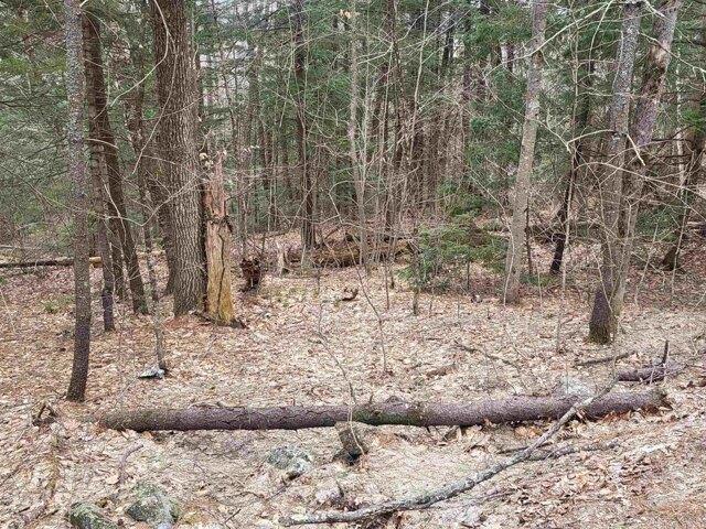 Eastern District Rd, Danbury, Plot For Sale