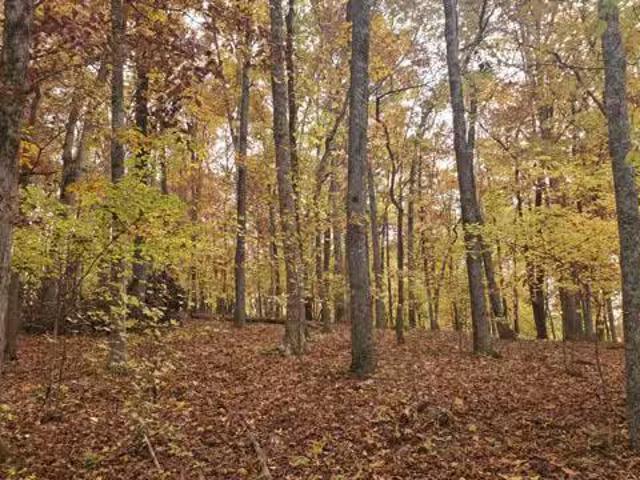 Eastern Tennessee Land 0.90 Acre, Gated Lake Community