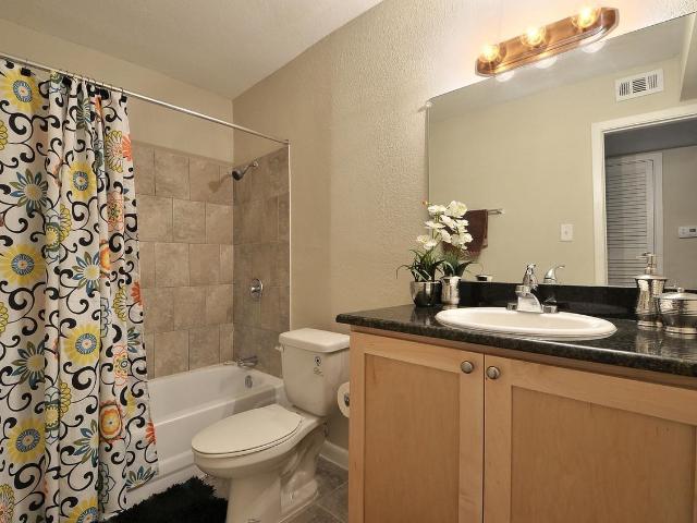Easton Hills Studio Apartment for Rent at 1900 Burton Dr, Austin, TX 78741 Riverside