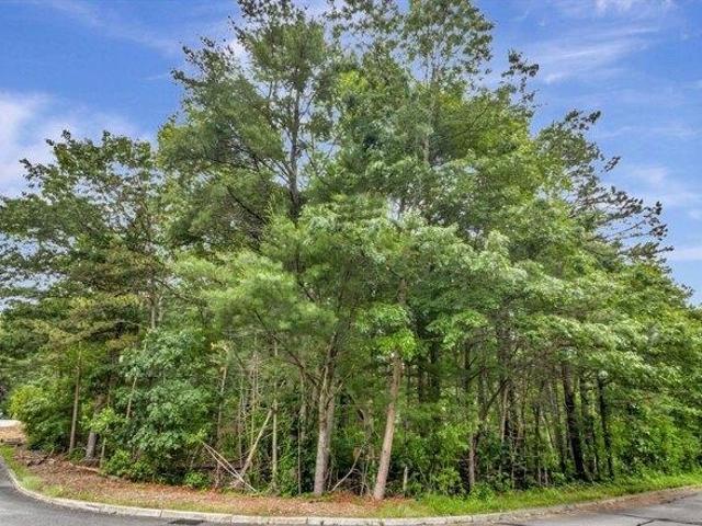 Easton MA 02356 LS102157927