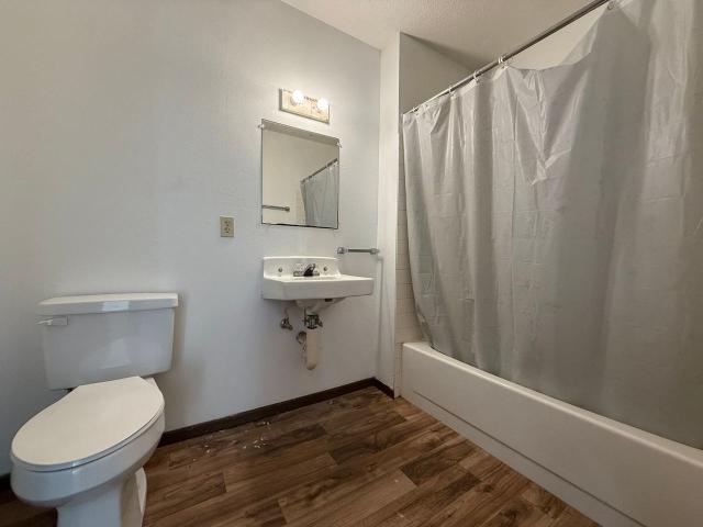 Eastown 365 395 2nd Ave NE 1 Bedroom Apartment for Rent at 365 2nd Ave Ne, Wells, MN 56097
