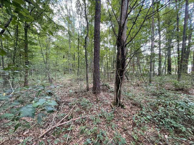 Eastside Drive, Newton, MS 39345