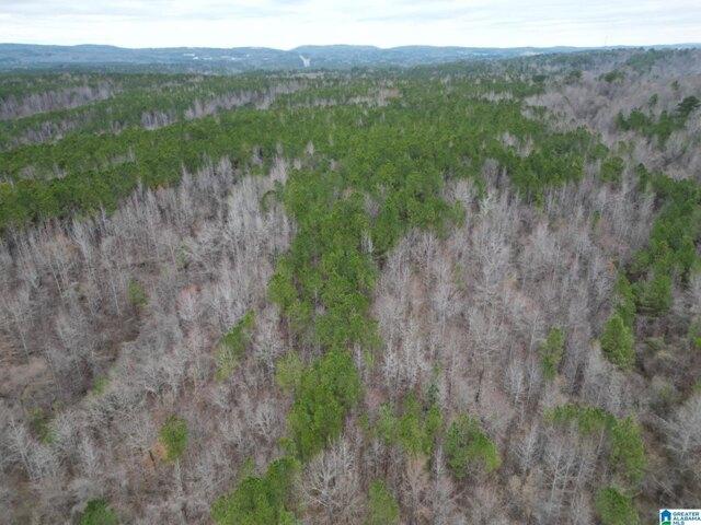 Eastwood Dr, Warrior, Plot For Sale