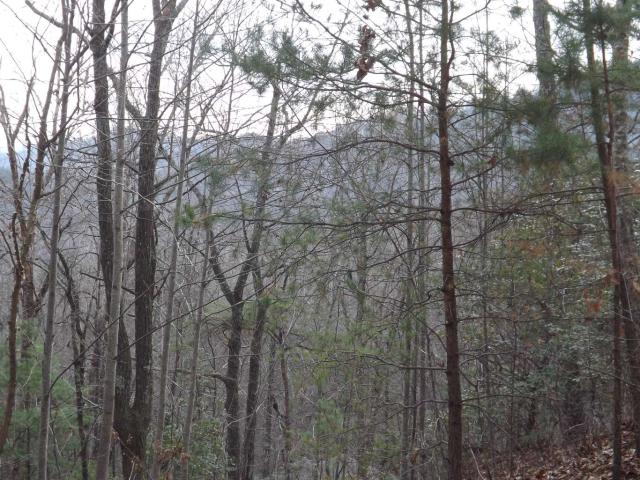 Eastview Ln, Lot M, Clayton, GA 30525 | MLS #330495