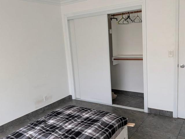 Easy going tenant needed