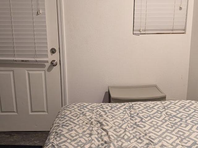 Easy going tenant needed