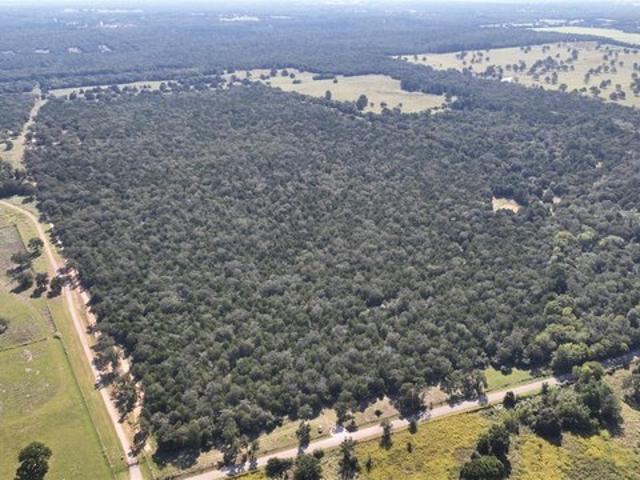 Easley, Smithville, TX 78957