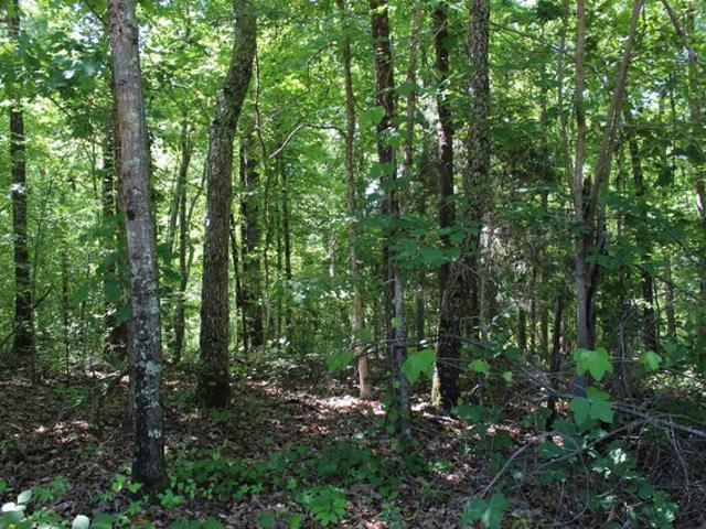 Ebenezer Rd, Toone, TN 38381