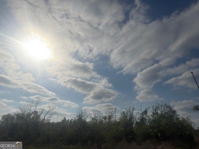 Ed Varnadoe Rd, Lumber City, GA 31549