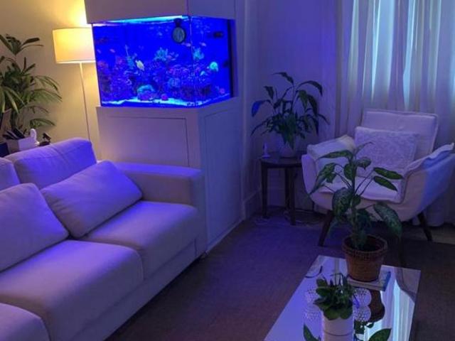 Ed. Malbec andar alto 2 suites 2 vagas terraço gourmet lazer completo