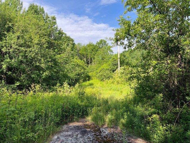 Eddy Pyrites Rd Lot 1, Canton, NY 13617
