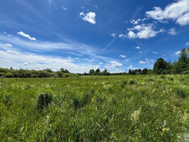 Eddy Pyrites Rd Lot 3, Canton, NY 13617
