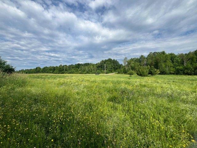 Eddy Pyrites Rd Unit 2, Canton, NY 13617