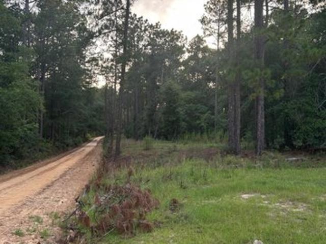 Edenfield Rd, Twin City, GA 30471